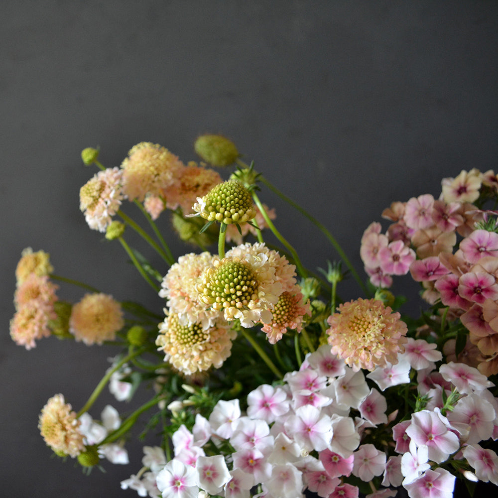 Send Flowers Online: A Simple Guide. – BOTANY