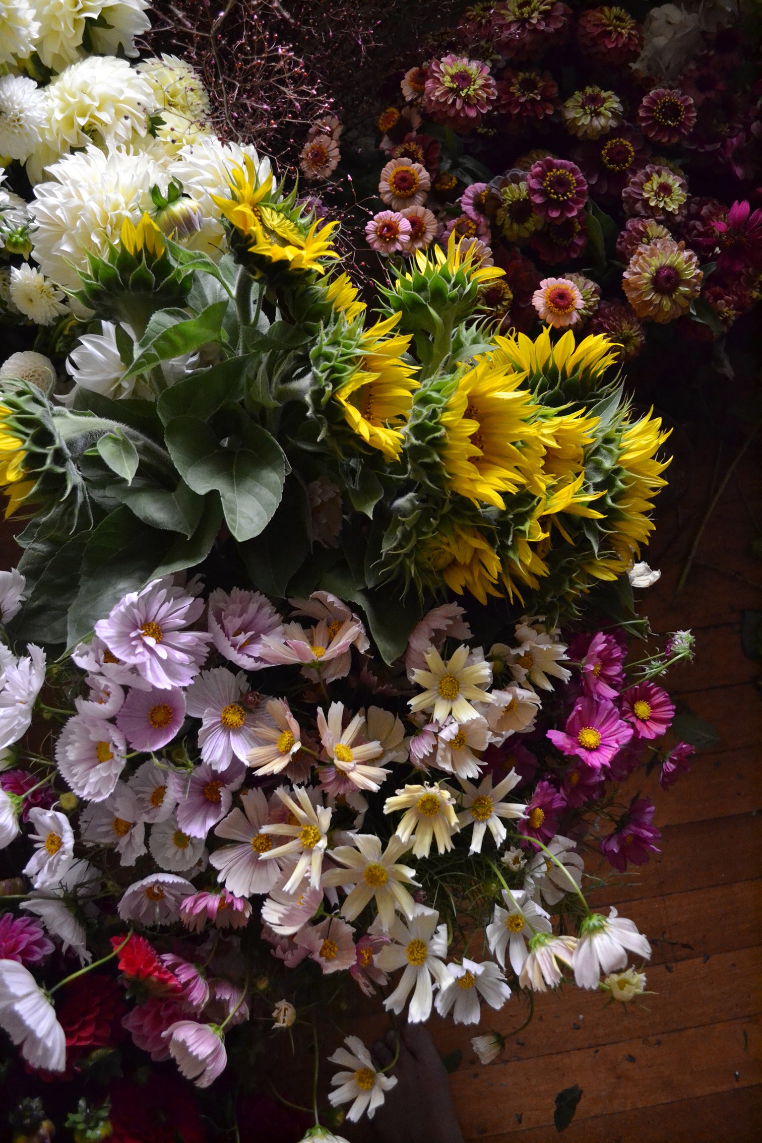 Botany Florist Melbourne | Flower Delivery – BOTANY