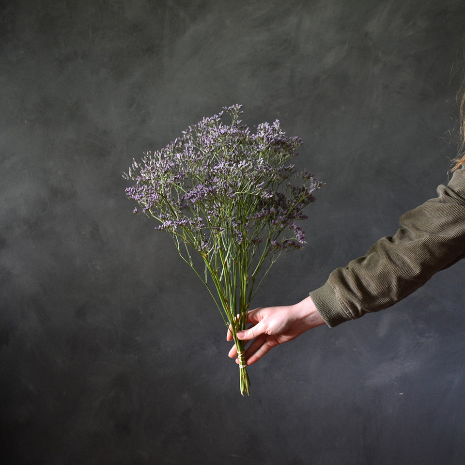 Dried Flowers Melbourne | Botany Florist – BOTANY